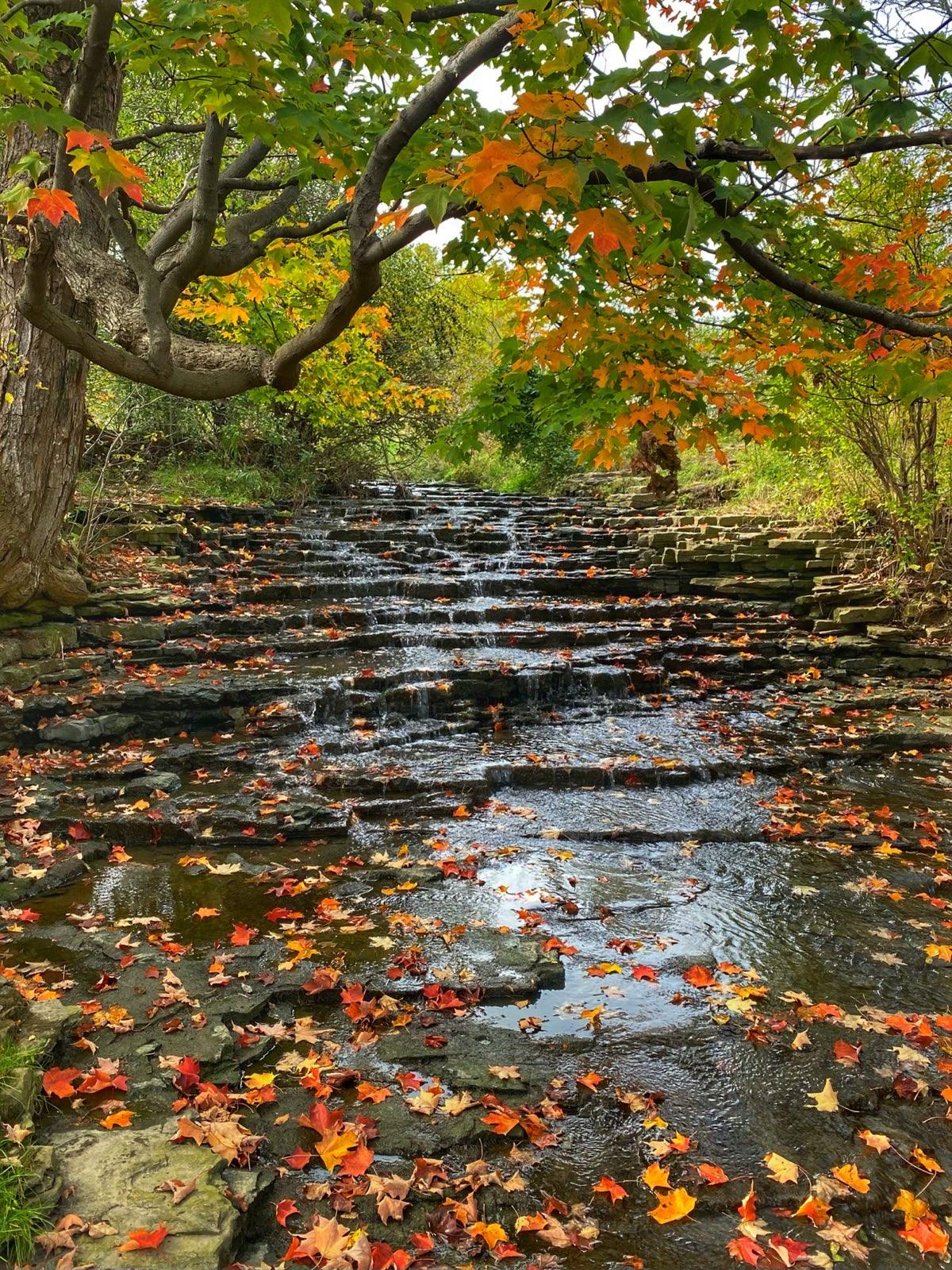 Billy Monkley Cascade - City of Waterfalls
